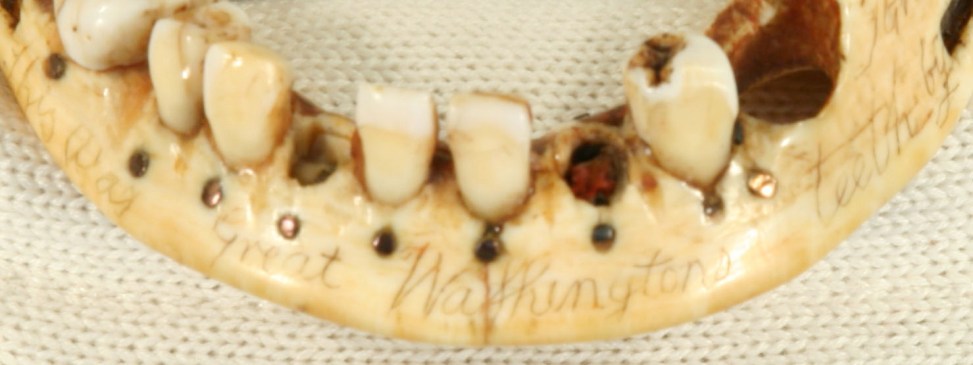 George Washington | Books, Health and History