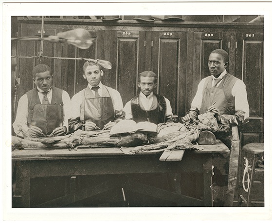 NYC History of Medicine Events in October — Hildebrandt, Tresch ...