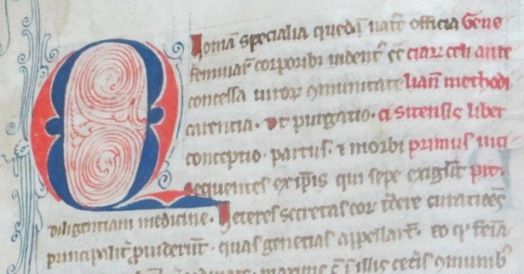 Seeing With New Eyes: Rediscovering Medieval Manuscripts in a Digital ...
