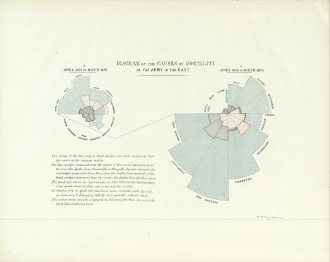“A Passionate Statistician”: Florence Nightingale and the Numbers Game ...