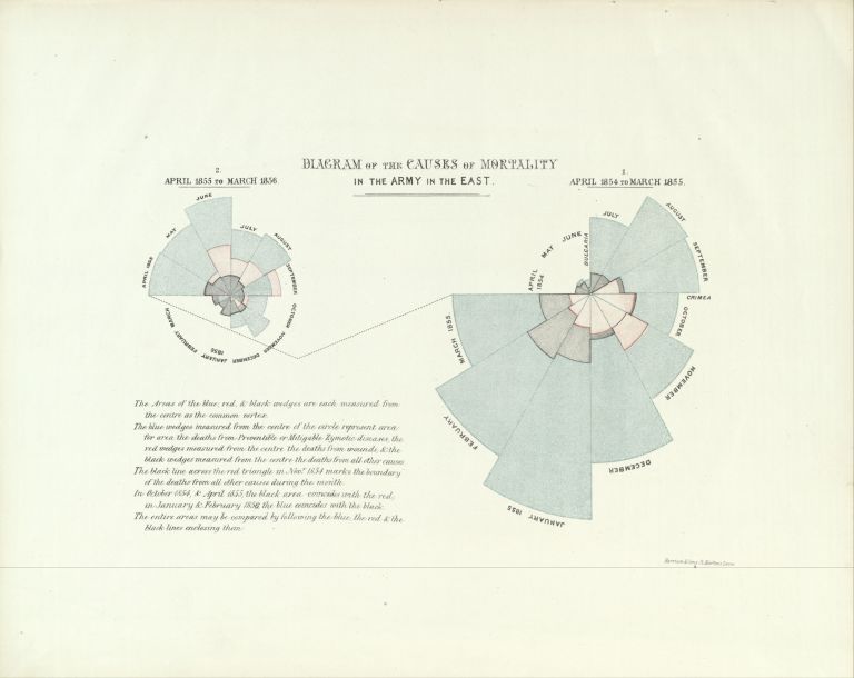 “A Passionate Statistician”: Florence Nightingale and the Numbers Game ...