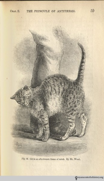 Darwin and Behavior | Books, Health and History