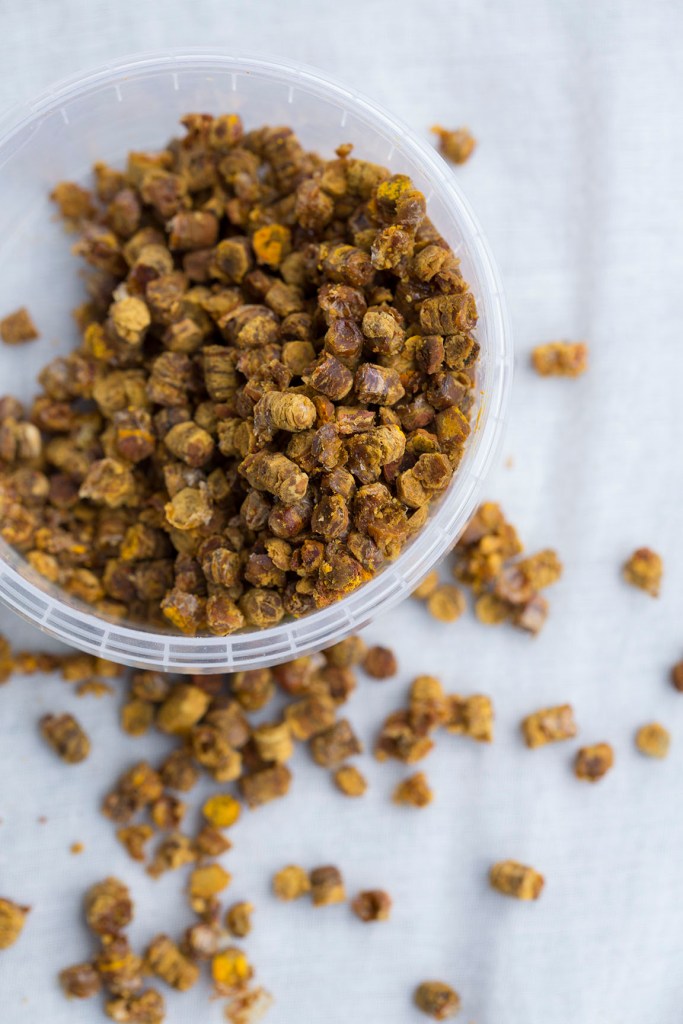 Bee Bread | Books, Health and History