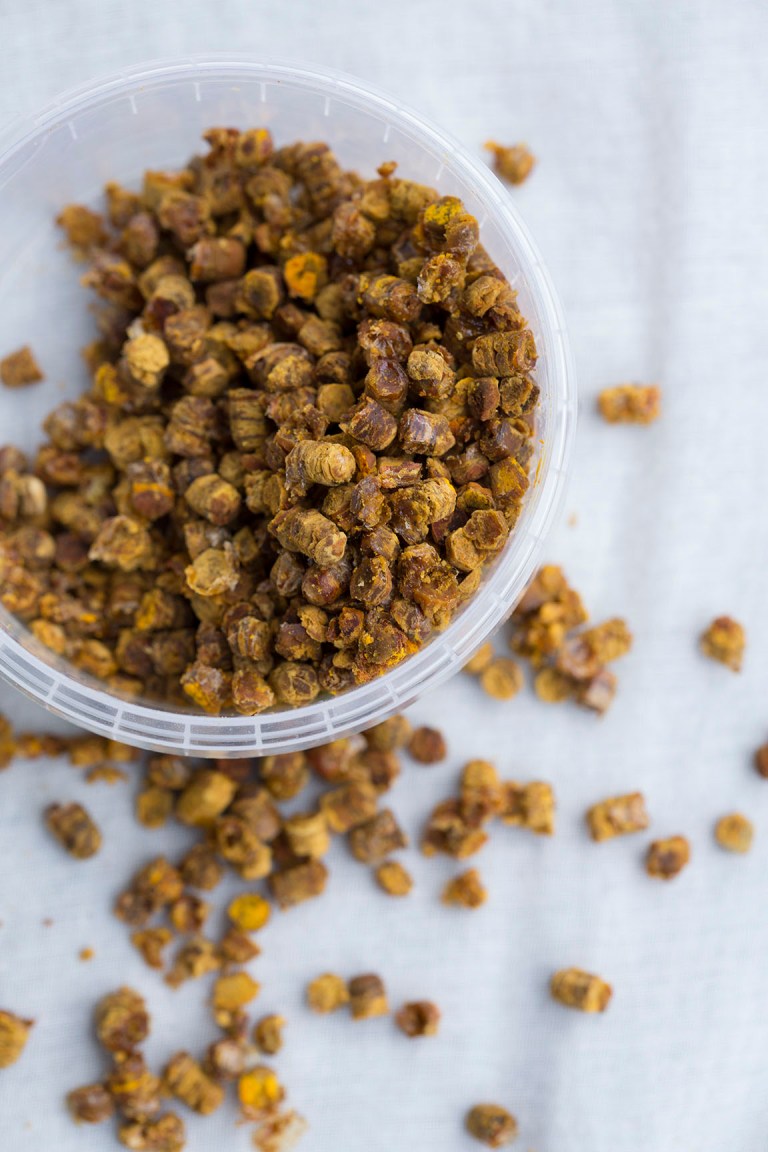 Bee Bread | Books, Health and History