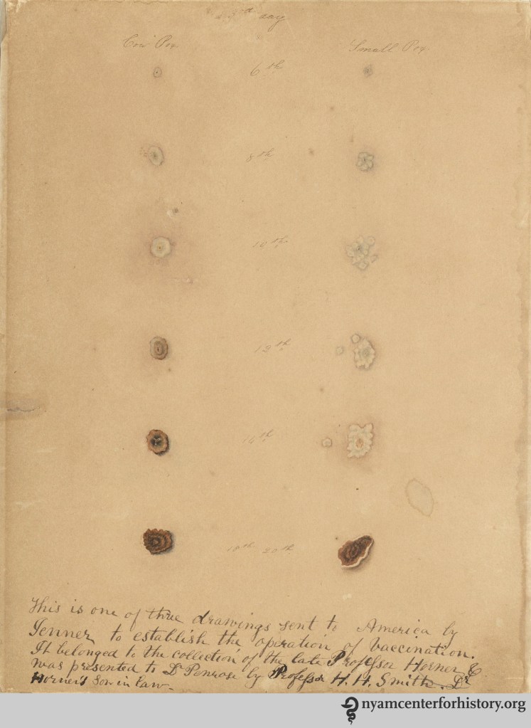 variolation | Books, Health and History