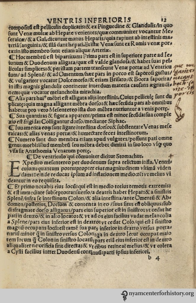 A Show of Hands | Books, Health and History