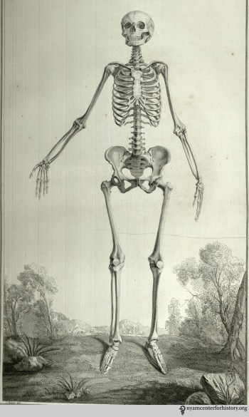 “Feminist Futures” Class Review | Books, Health and History