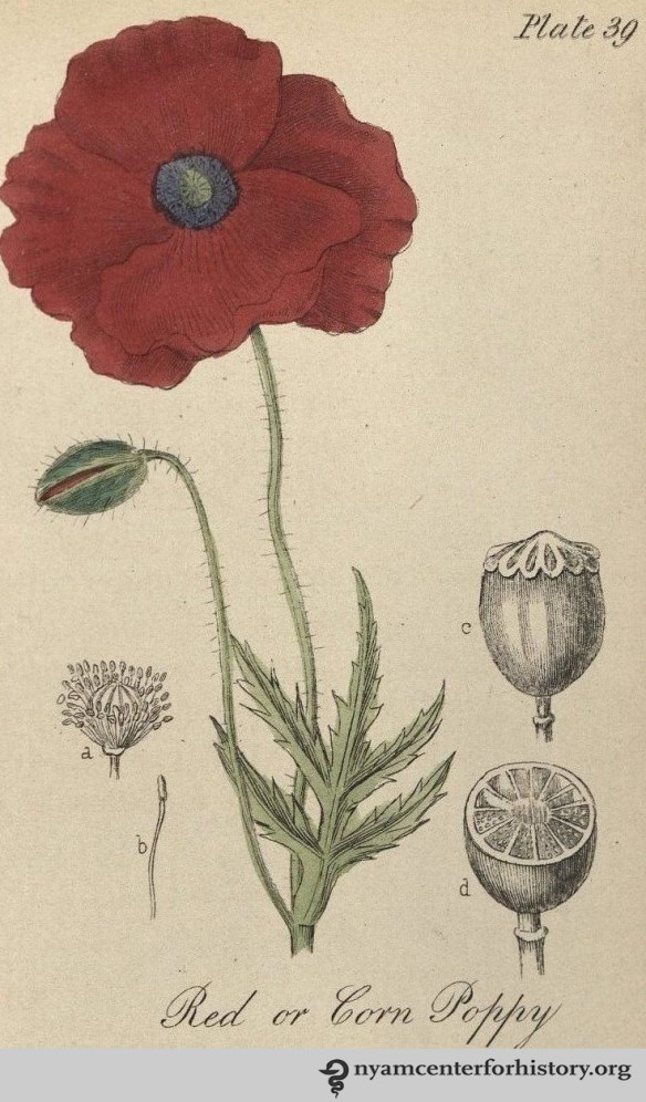 May | 2017 | Books, Health and History