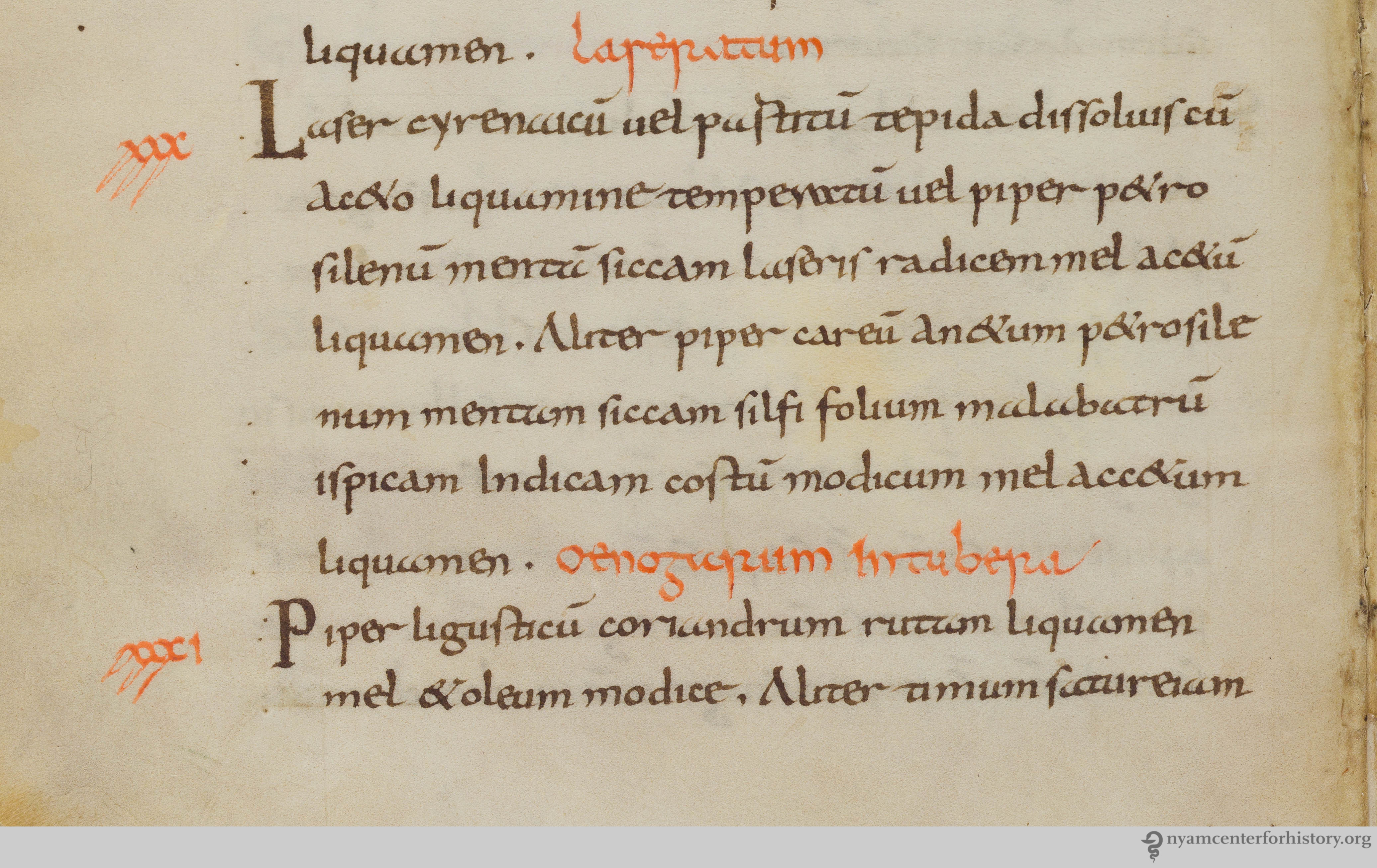 No Spice More Superior: Pepper | Books, Health and History