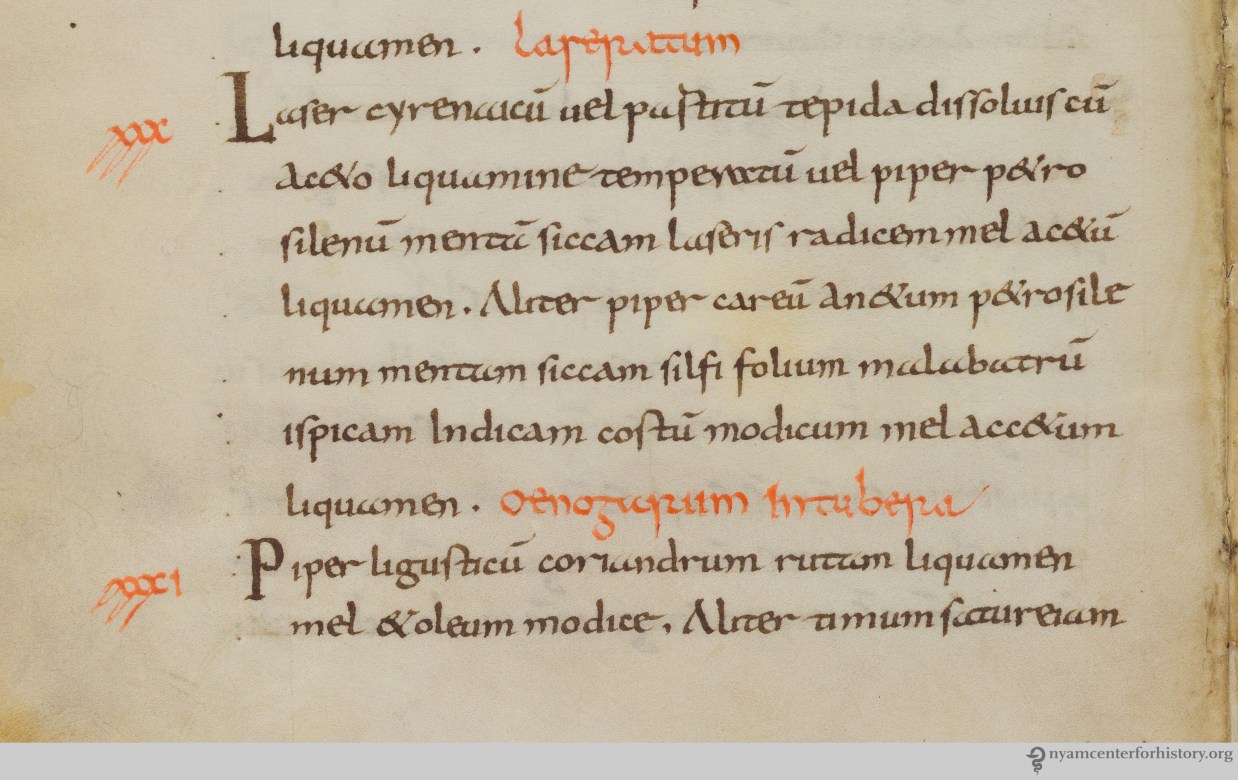 No Spice More Superior: Pepper | Books, Health and History