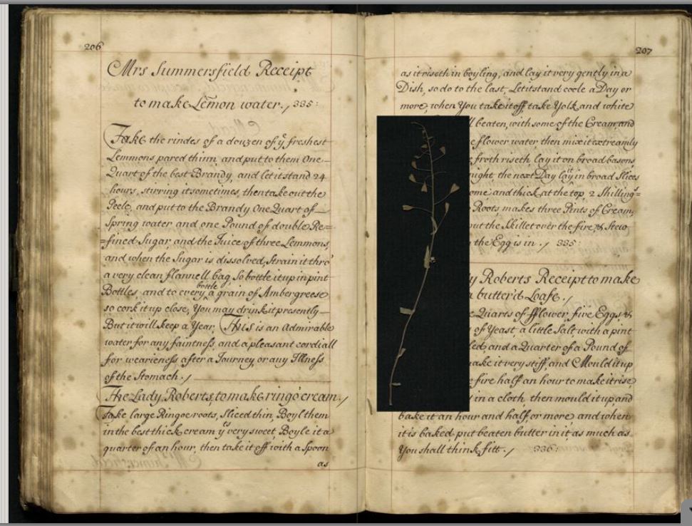 Digitizing Our Manuscript Cookbooks | Books, Health and History