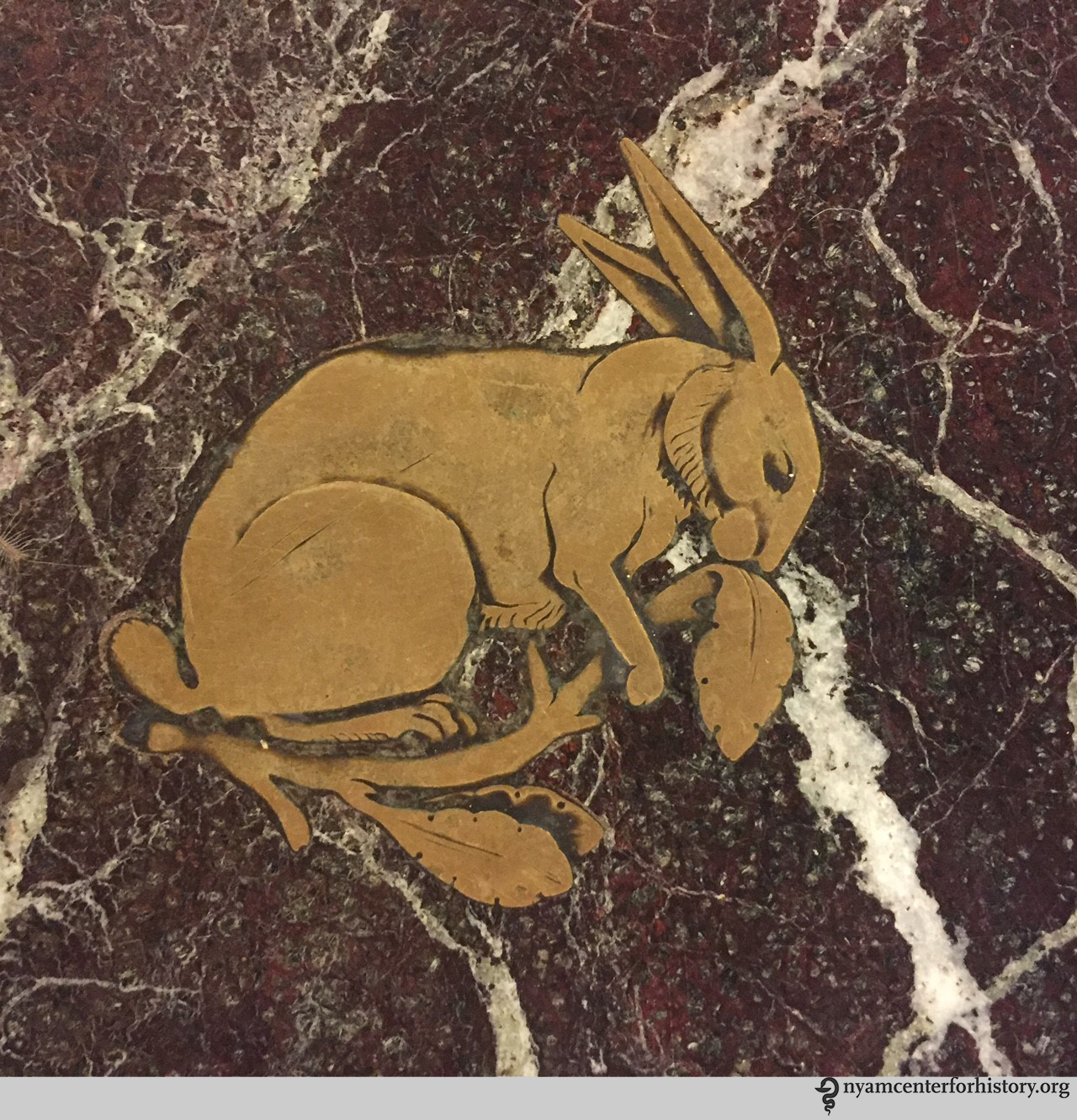 Down the Rabbit Hole with The Year of the Rabbit | Books, Health and ...