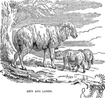 Books, Health and History | The New York Academy of Medicine | Page 3